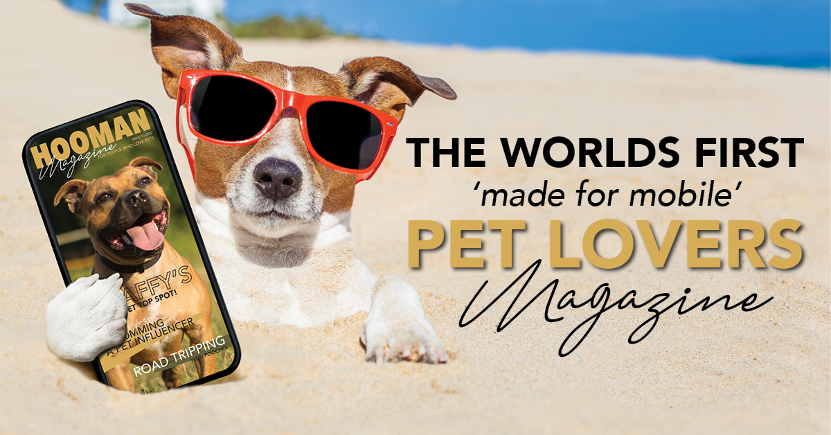 Hooman Magazine For People Who Love Pets - Hooman - Mobimag